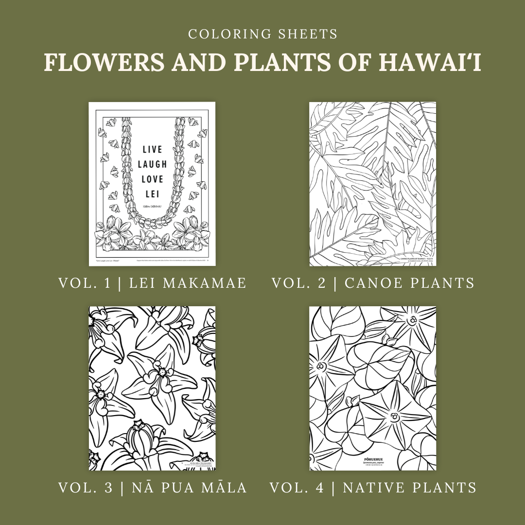 free hawaiian flower coloring pages