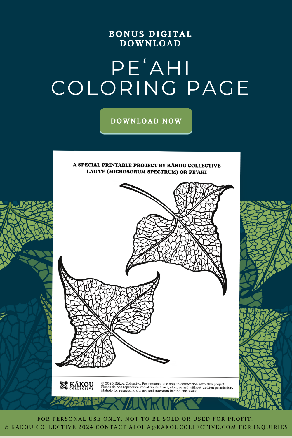 Lauaʻe (Microsorum spectrum): The Native Fern Known as Peʻahi – Kakou ...